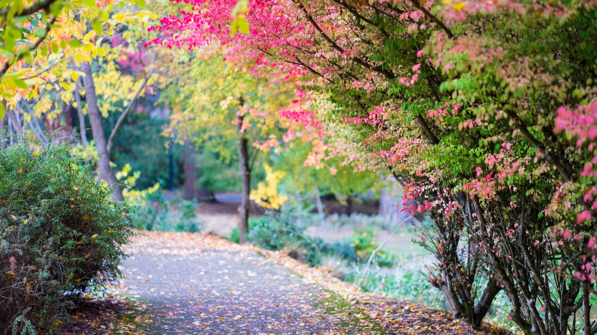 Bondurant | Iowa Initiative For Sustainable Communities - School of ...